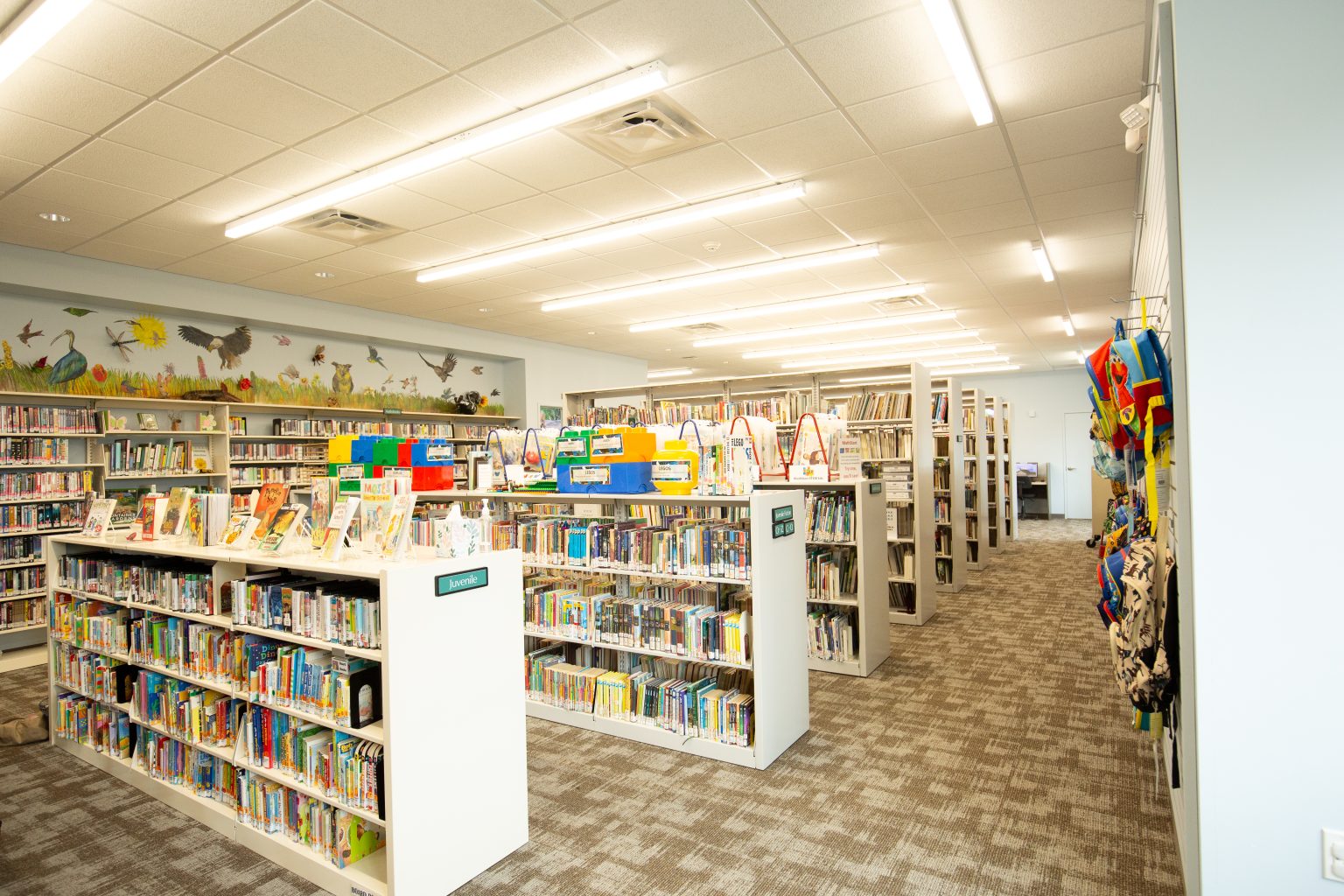 About Delmont Library